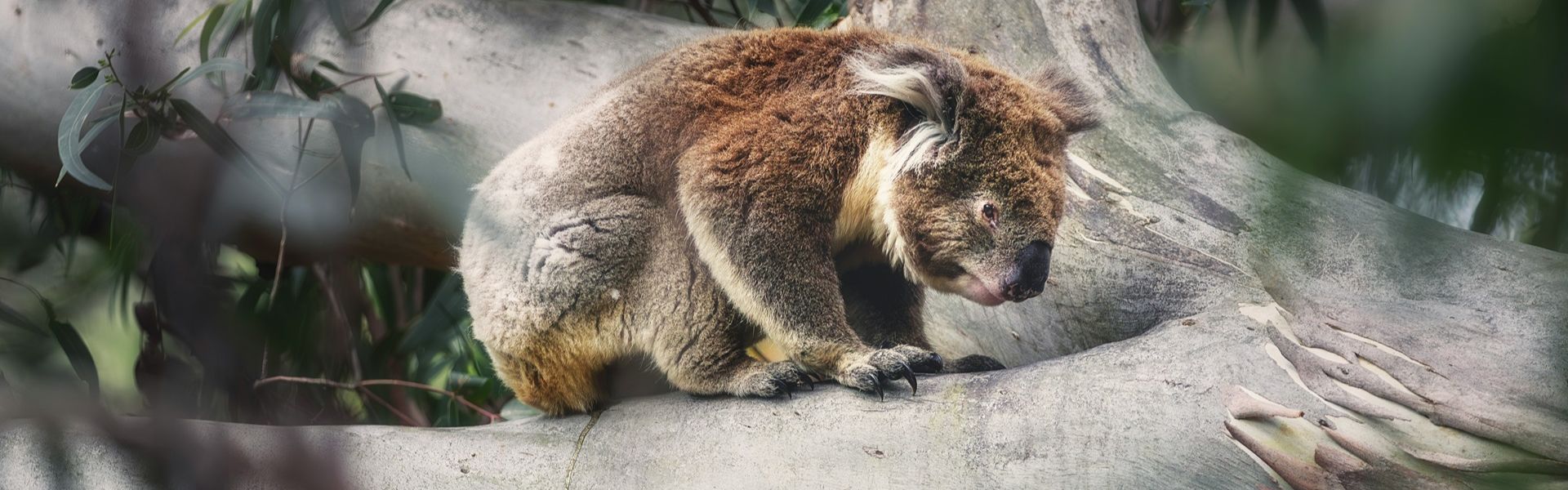 Sustainability – Dychem International